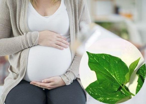 Bà bầu đi đám ma nên mang theo gì để tránh hơi lạnh người "chết"