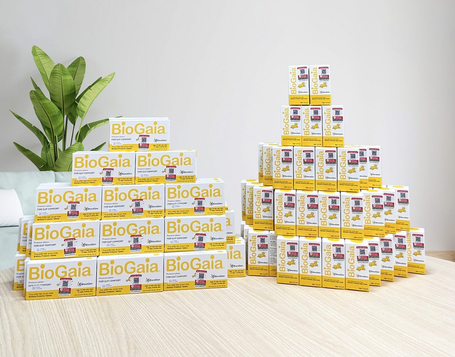 Biogaia dùng cho trẻ mấy tuổi? Men dành cho đối tượng nào?