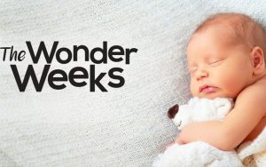 Wonder Week là gì? Giải mã các tuần khủng hoảng của bé theo từng giai đoạn!